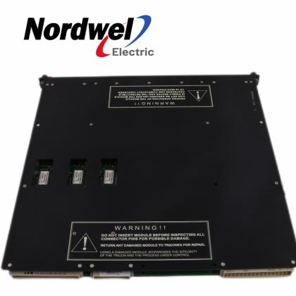 TRICONEX | 3624 | Digital Output Module Import,TRICONEX | 3624 ...