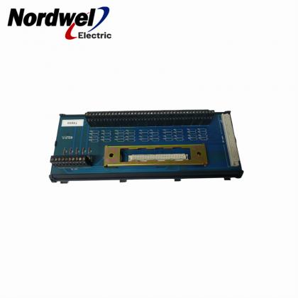 ICS Triplex T8850C Expander Interface Module Import,ICS Triplex T8850C ...